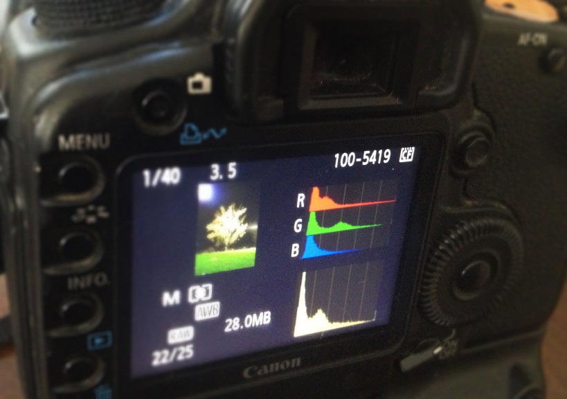 Photographer Lingo - Top Colorado Mountain Wedding Photographers ...